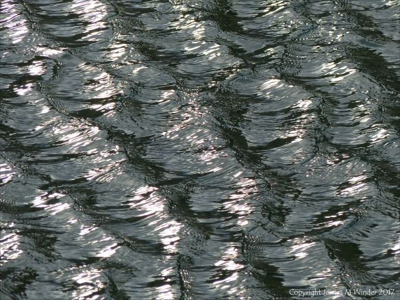 Unretouched – Water Texture & Pattern (Barbican 4) – Jessica's Nature Blog
