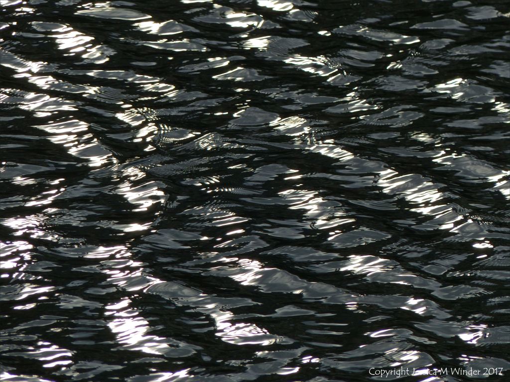 Unretouched – Water Texture & Pattern (Barbican 5) – Jessica's Nature Blog