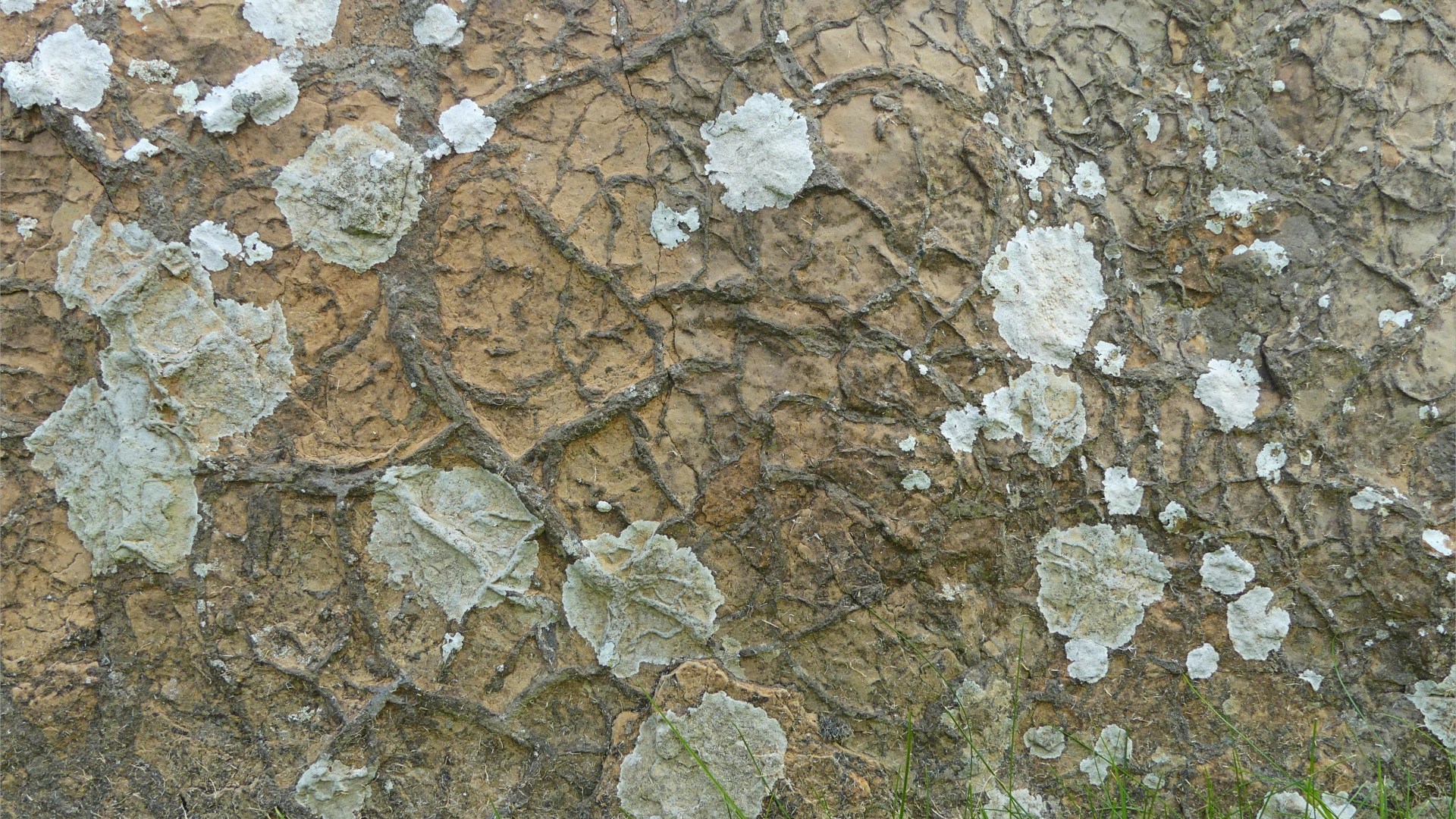 Stone textures at Broch of Gurness 1 – Jessica's Nature Blog