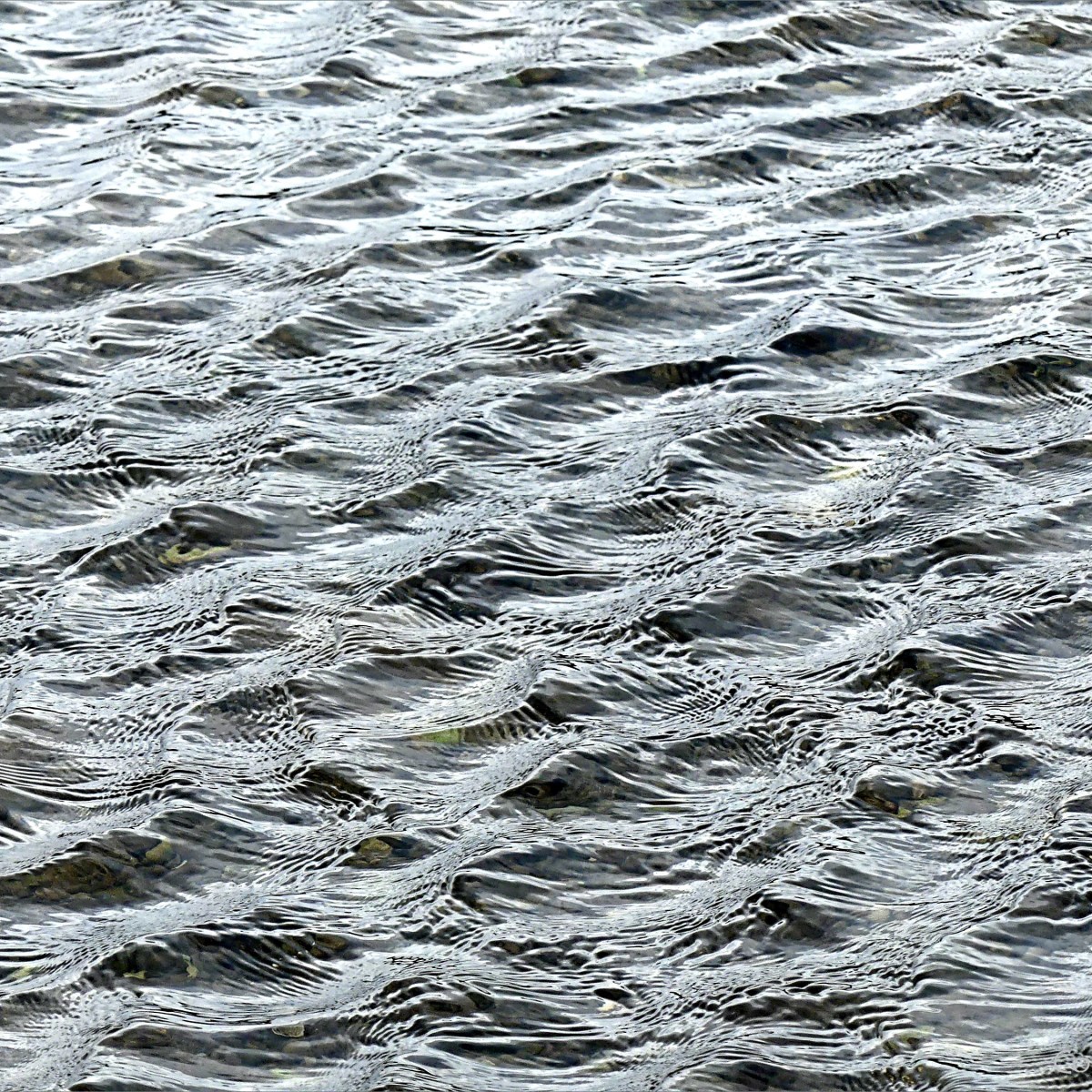 river water surface texture – Jessica's Nature Blog
