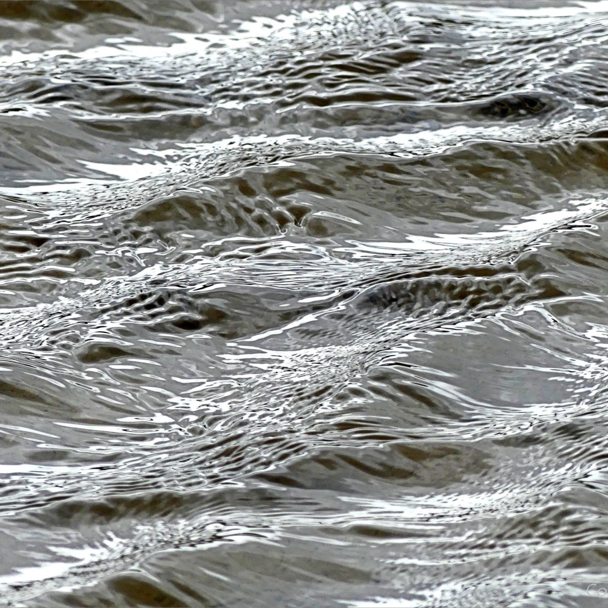 river water surface texture – Jessica's Nature Blog