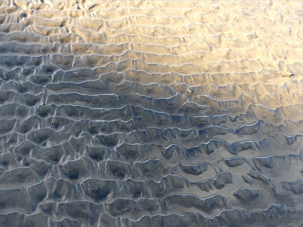 Seashore Sand Patterns 1-6 (R10.18) – Jessica's Nature Blog