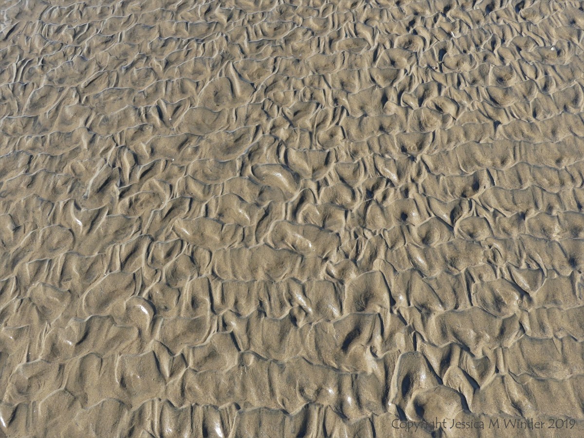 Seashore Sand Patterns 7-11 (R10.18) – Jessica's Nature Blog