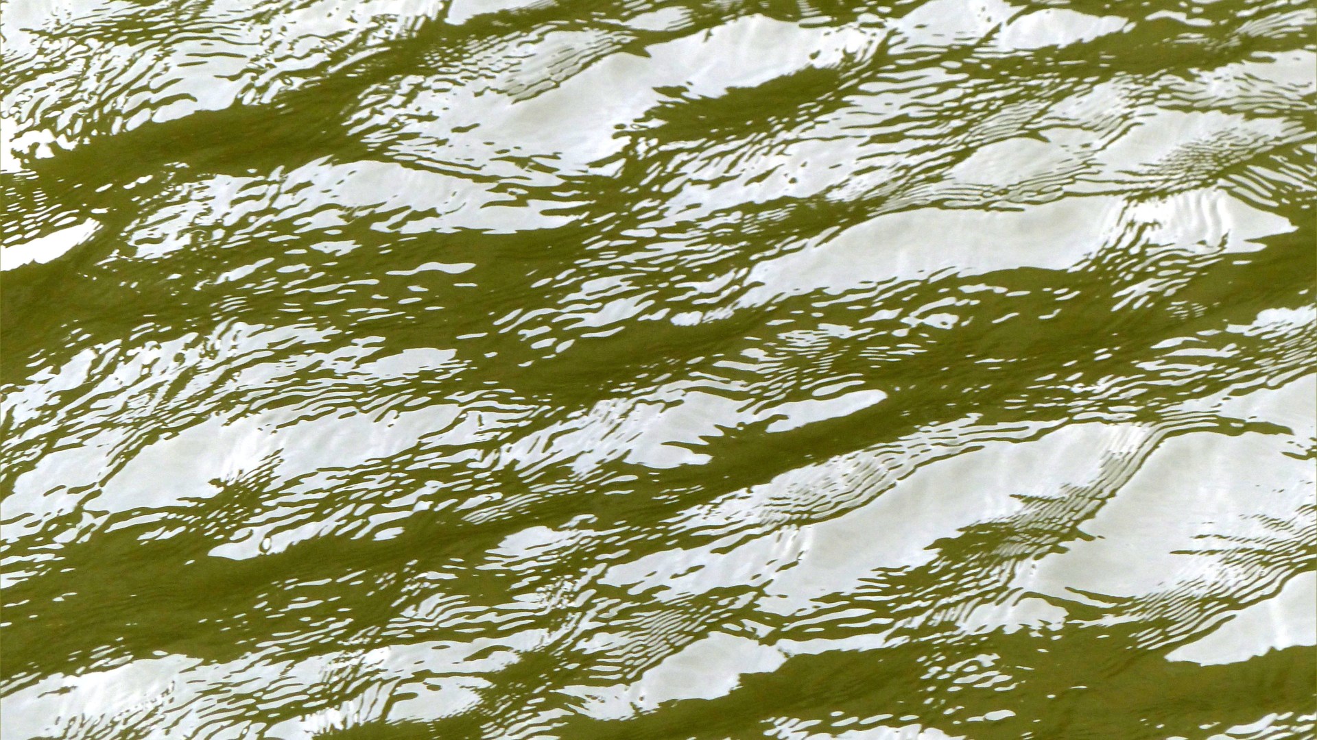 Water Reflection Patterns (London 2017) – Jessica's Nature Blog