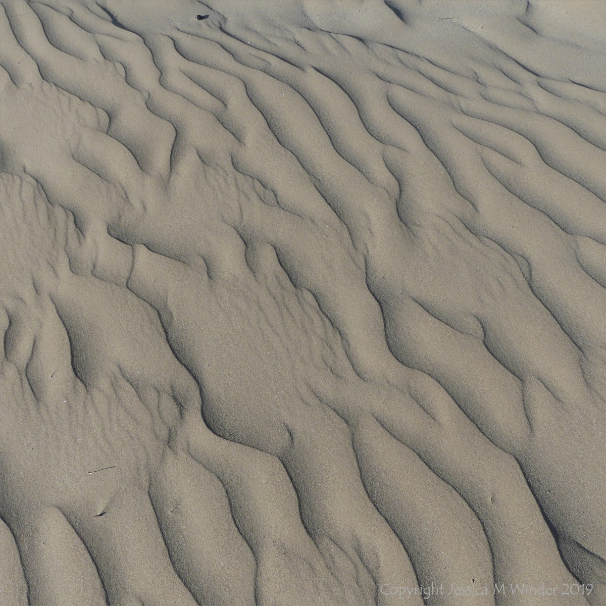 Sand Studies (SB08.18) – Jessica's Nature Blog