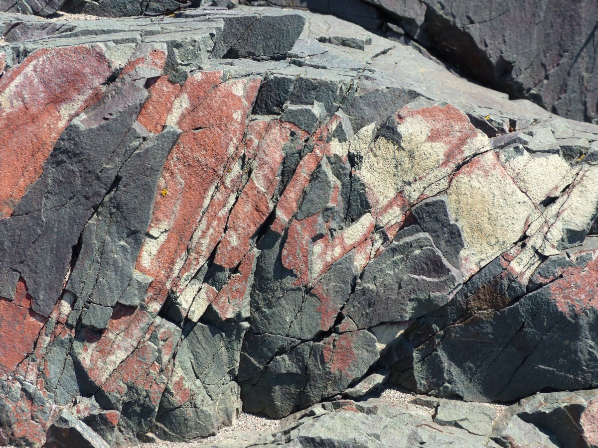 Rocks around Louisbourg – Tri-fold Leaflet – Jessica's Nature Blog