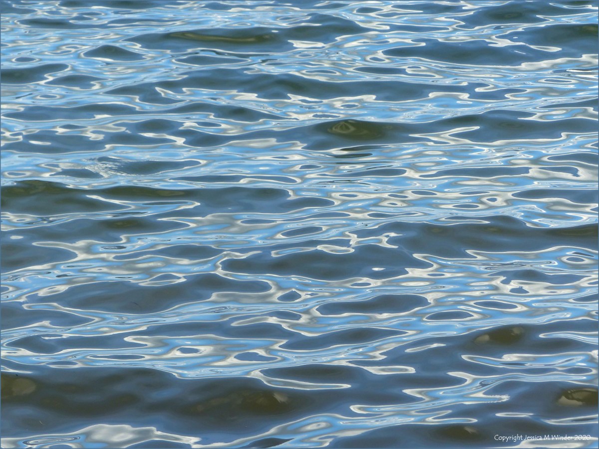 Light on Water at Studland 1 – Jessica's Nature Blog