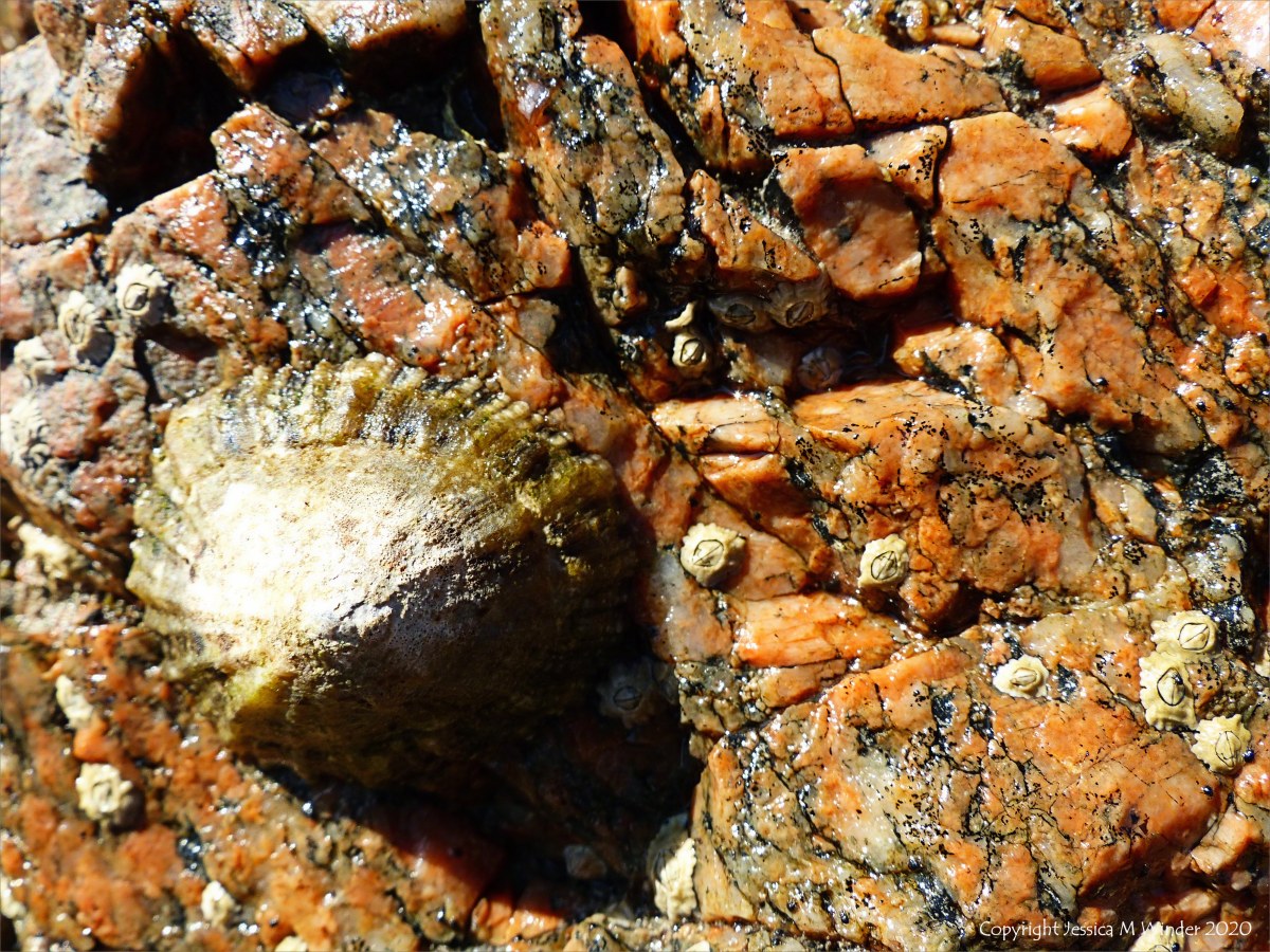 Rocks MH 1 – Jessica's Nature Blog