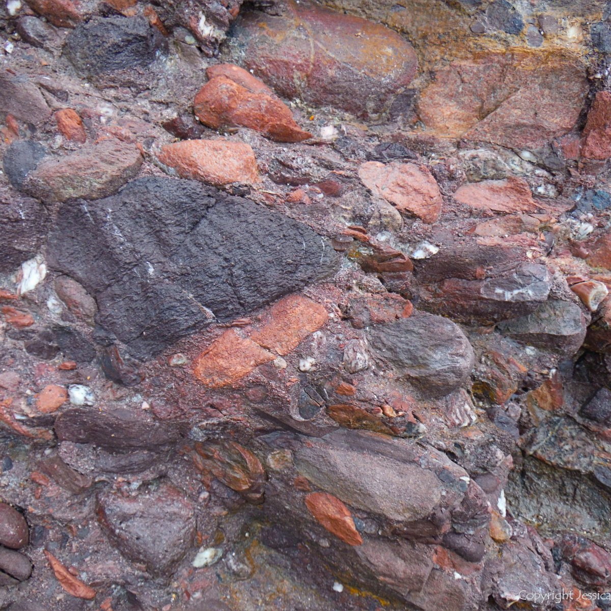 Devonian rocks – Jessica's Nature Blog