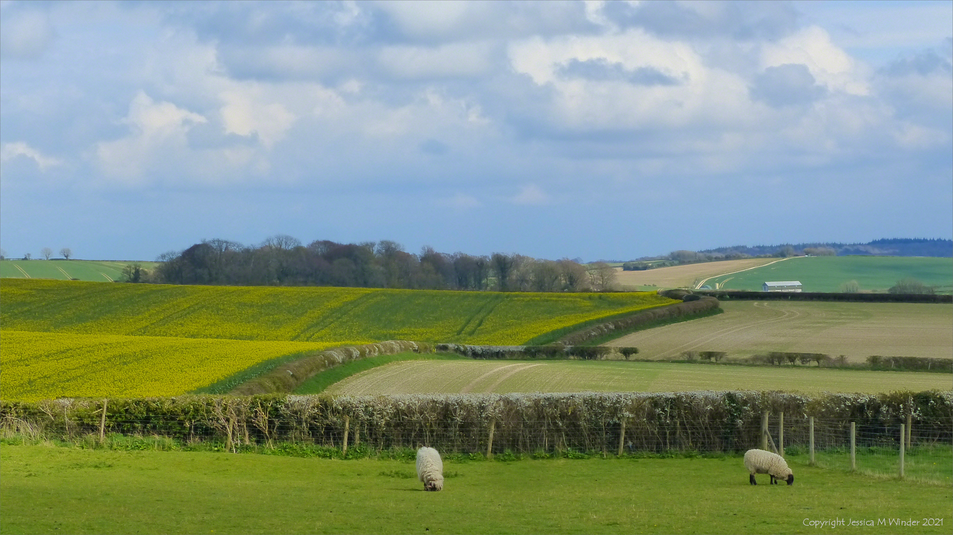 April Country Walk 1.1-8 – Jessica's Nature Blog