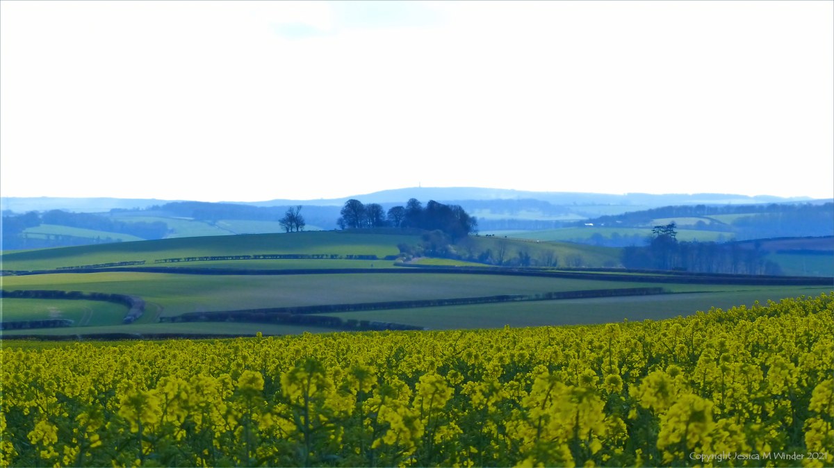 April Country Walk 1.17-24 – Jessica's Nature Blog