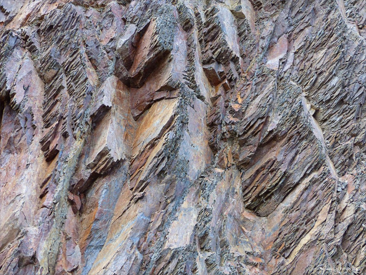 The Ross Brook Formation 1 – Jessica's Nature Blog