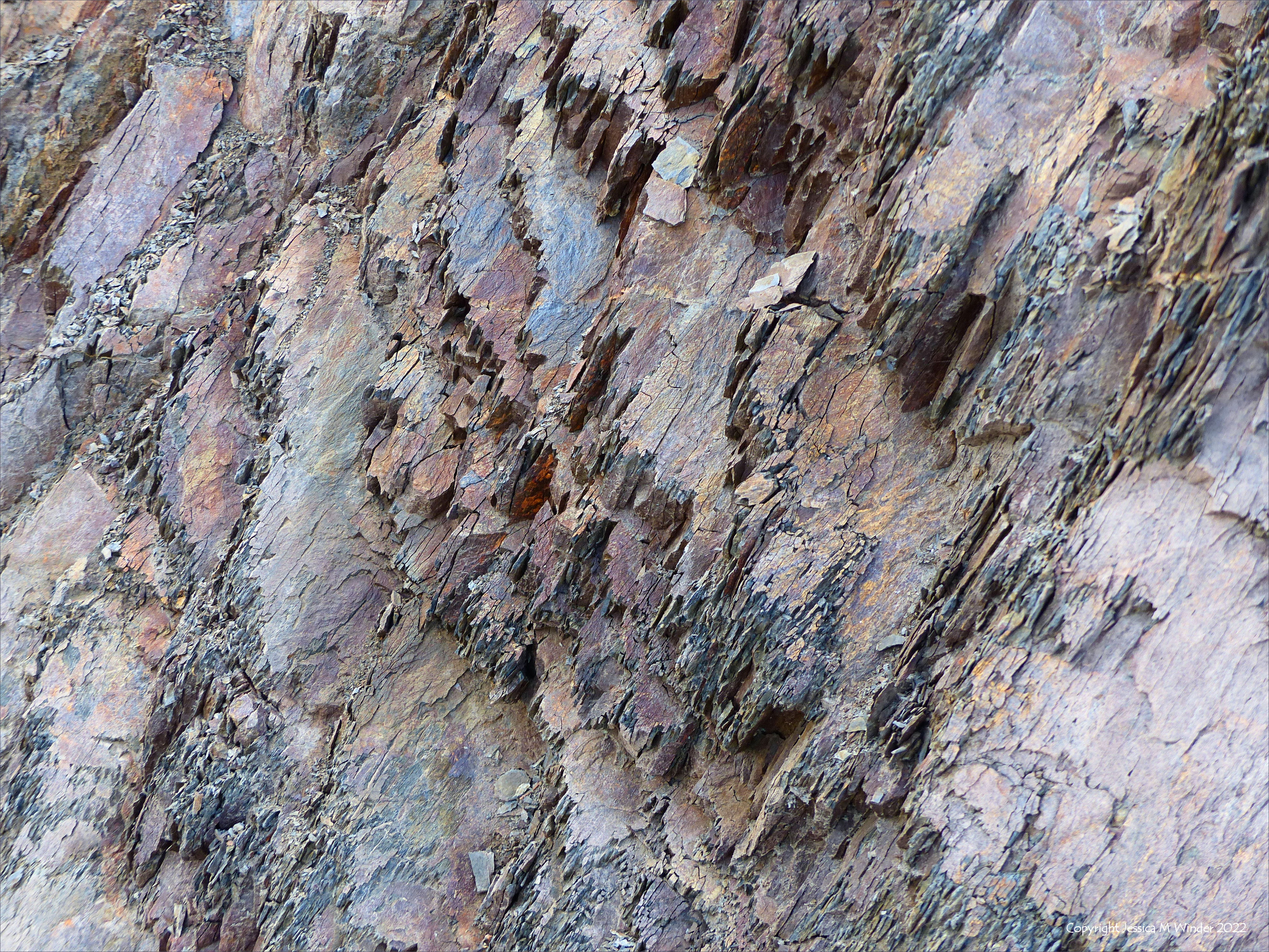 The Ross Brook Formation 1-30 Gallery – Jessica's Nature Blog
