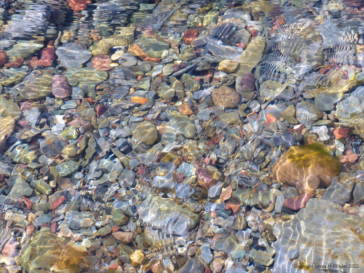 The Ross Brook Formation 31 – Jessica's Nature Blog