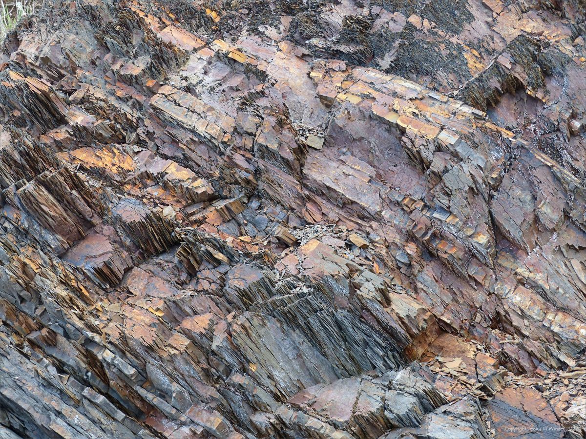 The Ross Brook Formation 23 – Jessica's Nature Blog