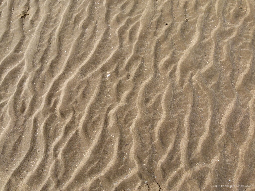 Sand Surface Textures 1-4 – Jessica's Nature Blog