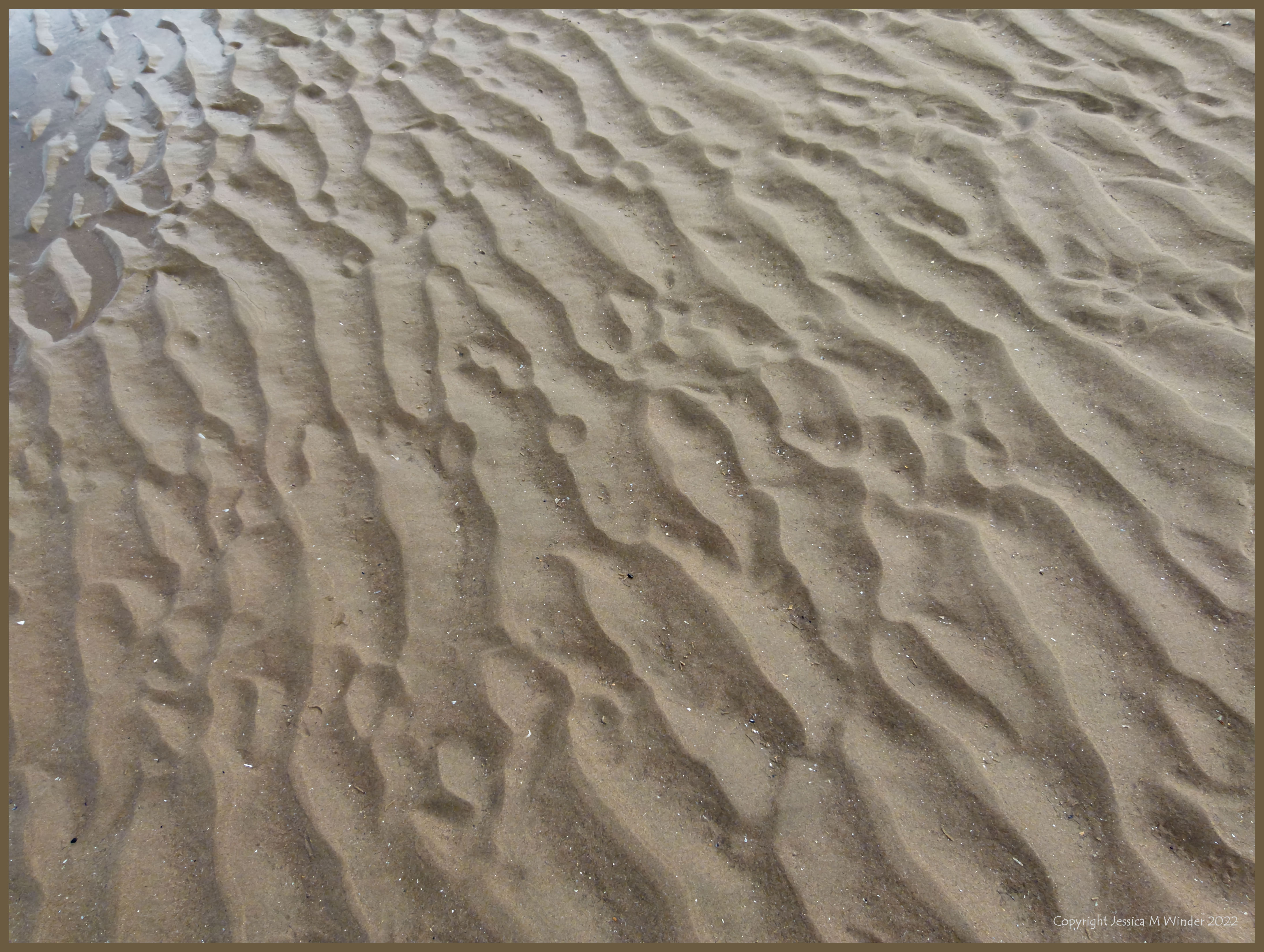Sand Surface Textures 5-9 – Jessica's Nature Blog