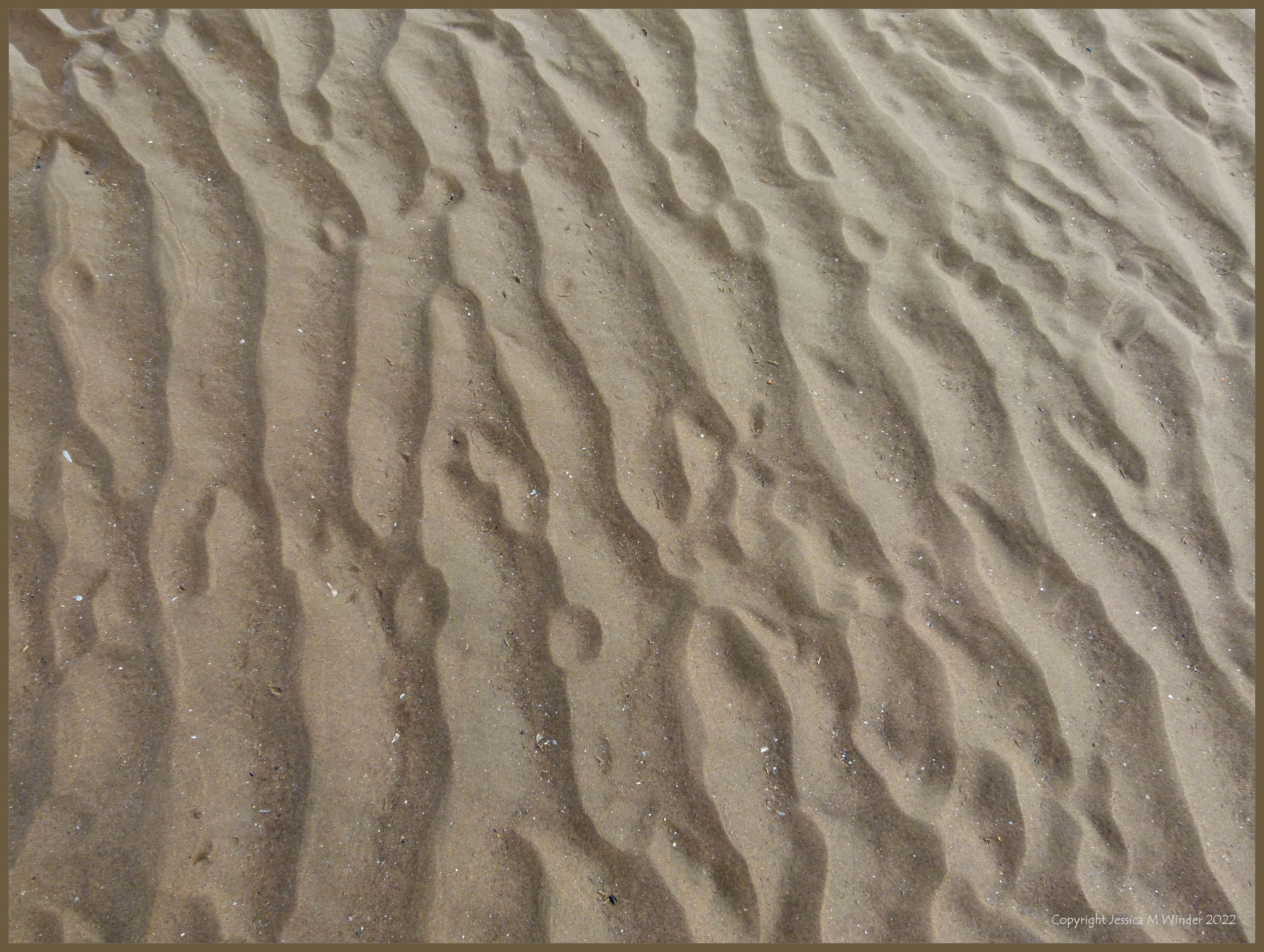Sand Surface Textures 5-9 – Jessica's Nature Blog