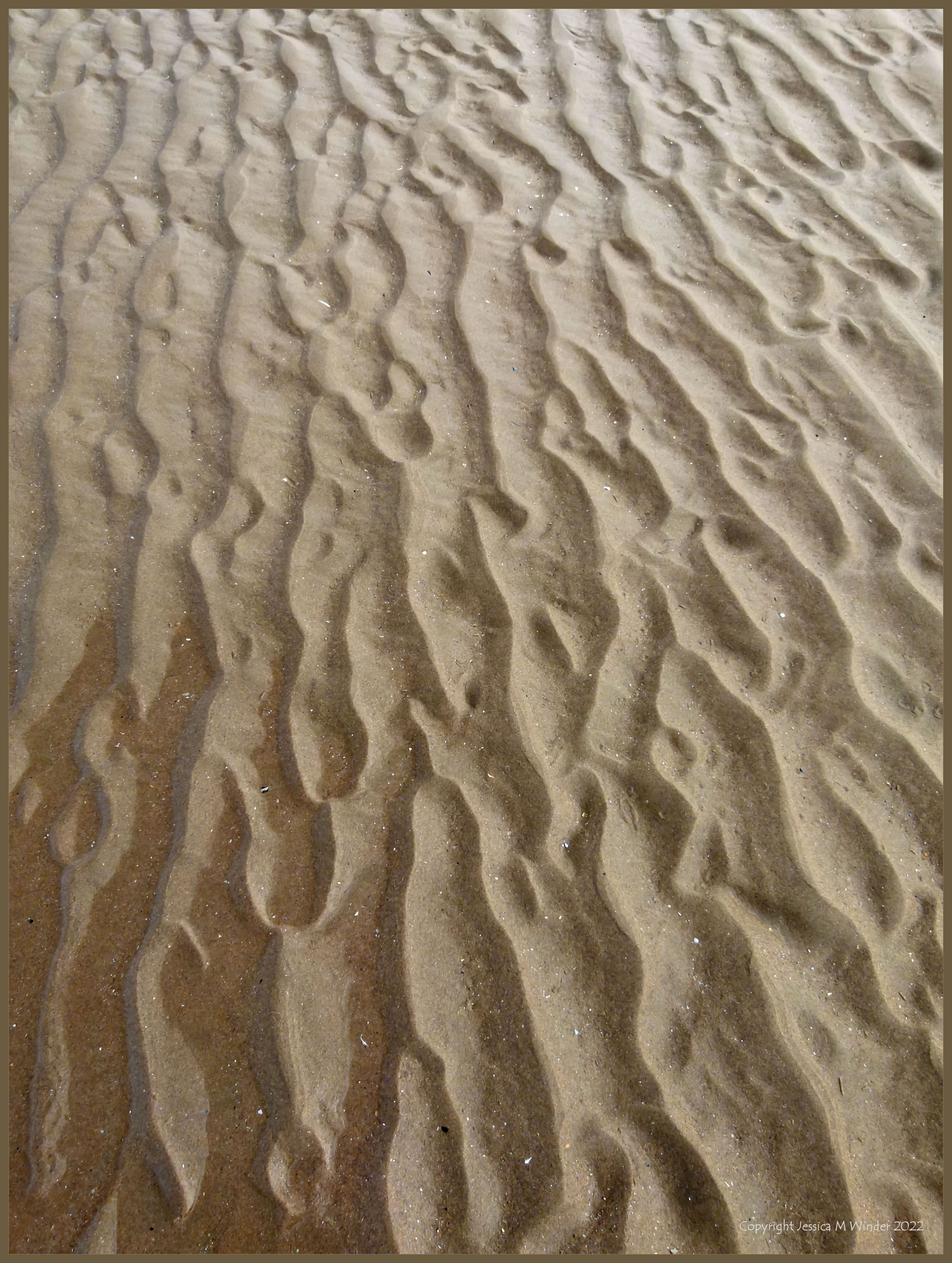 Sand Surface Textures 5-9 – Jessica's Nature Blog