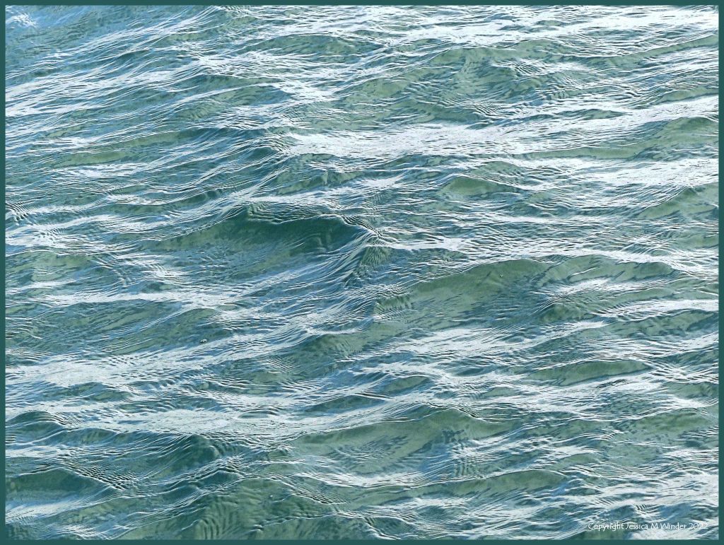 Water Surface Textures 6-10 – Jessica's Nature Blog