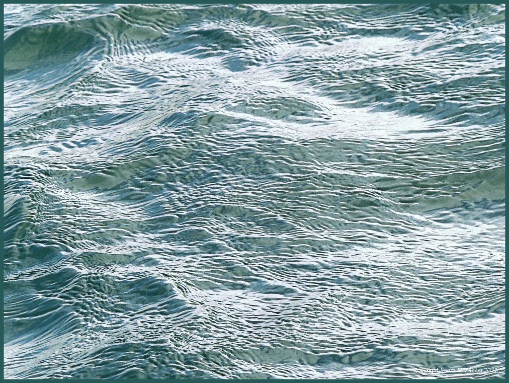 Water Surface Textures 6-10 – Jessica's Nature Blog