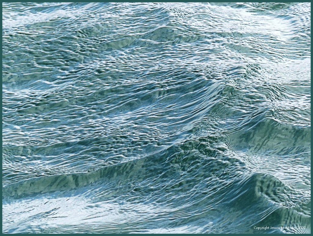 Water Surface Textures 6-10 – Jessica's Nature Blog