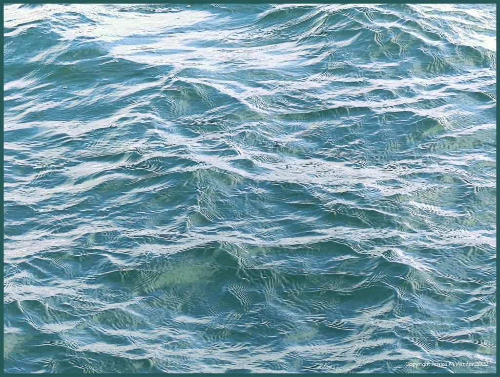 Water Surface Textures 6-10 – Jessica's Nature Blog