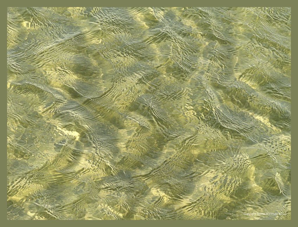 Water Surface Textures 11-15 – Jessica's Nature Blog