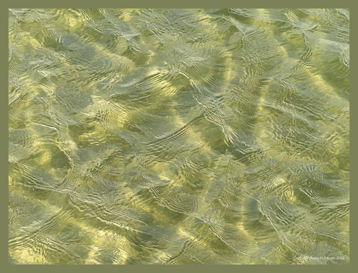 Water Surface Textures 11-15 – Jessica's Nature Blog