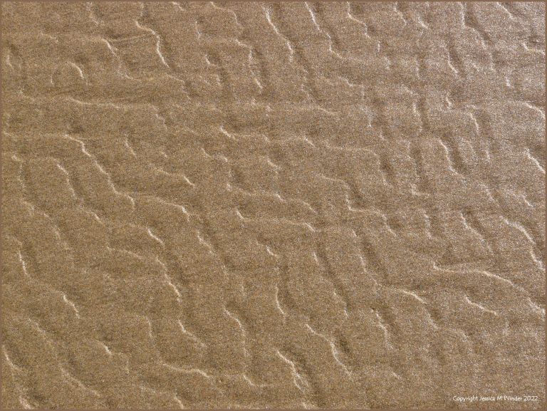 Sand Surface Textures 15 – 22 – Jessica's Nature Blog