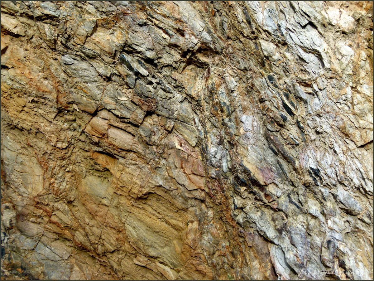 Rock Surface Textures PGB 1-5 – Jessica's Nature Blog
