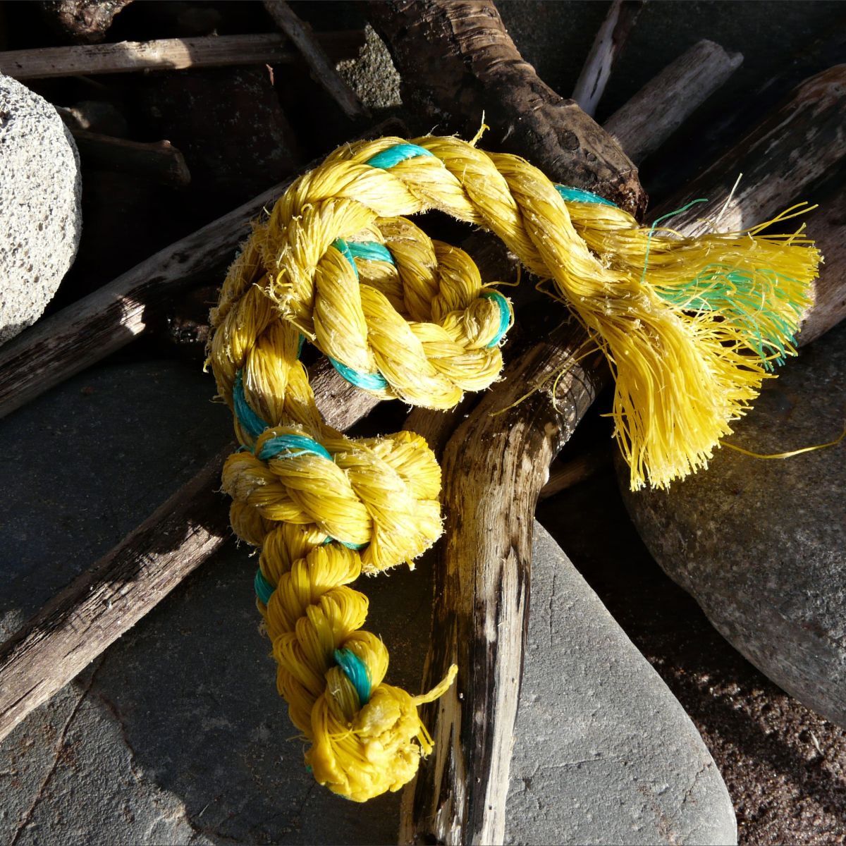 BEACHCOMBING – Jessica's Nature Blog