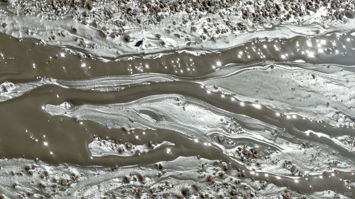 Mud Textures SJC 11-20 – Jessica's Nature Blog