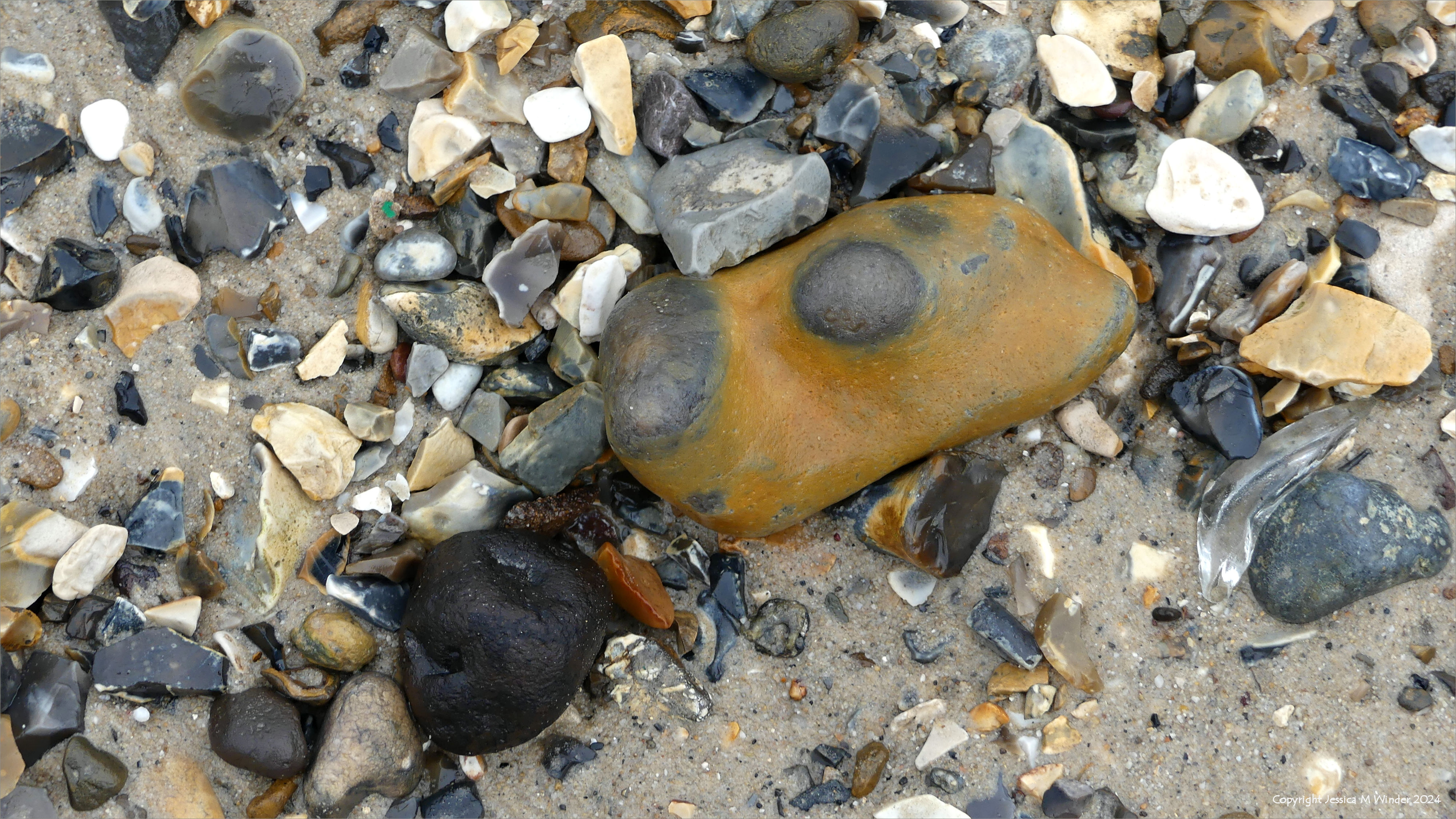 Beach Flints – Jessica's Nature Blog