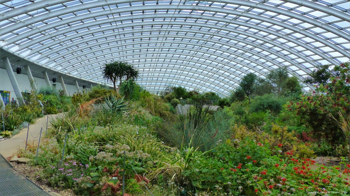 A Walk around the National Botanic Garden of Wales 2 – Jessica's Nature ...