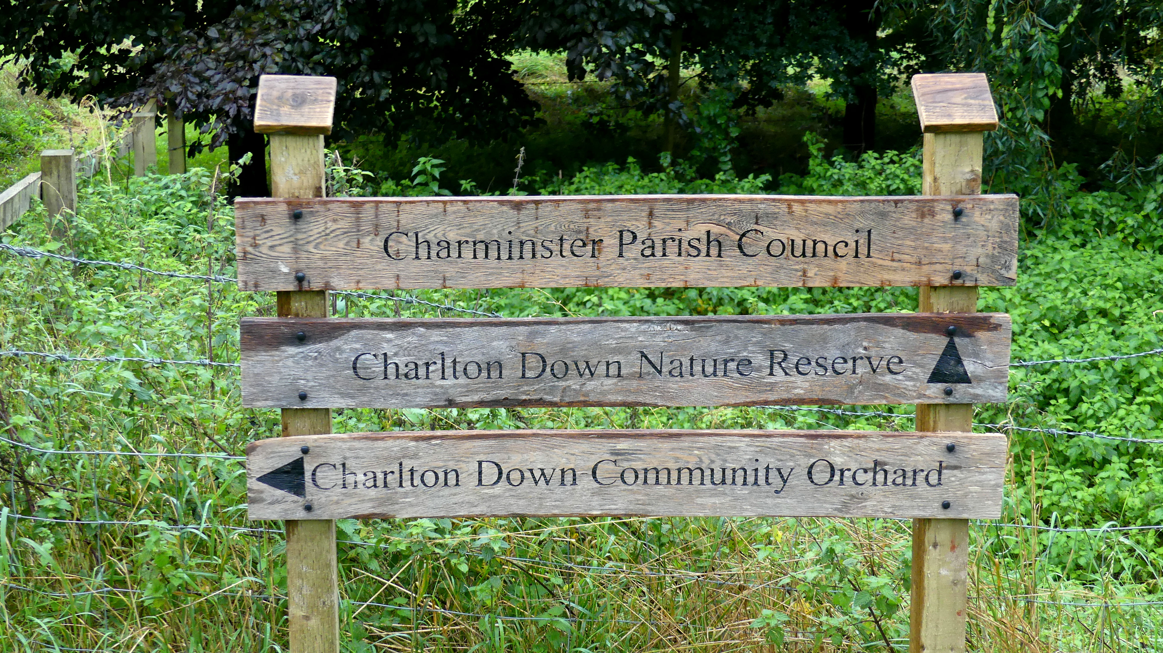 Charlton Down Nature Area – Jessica's Nature Blog