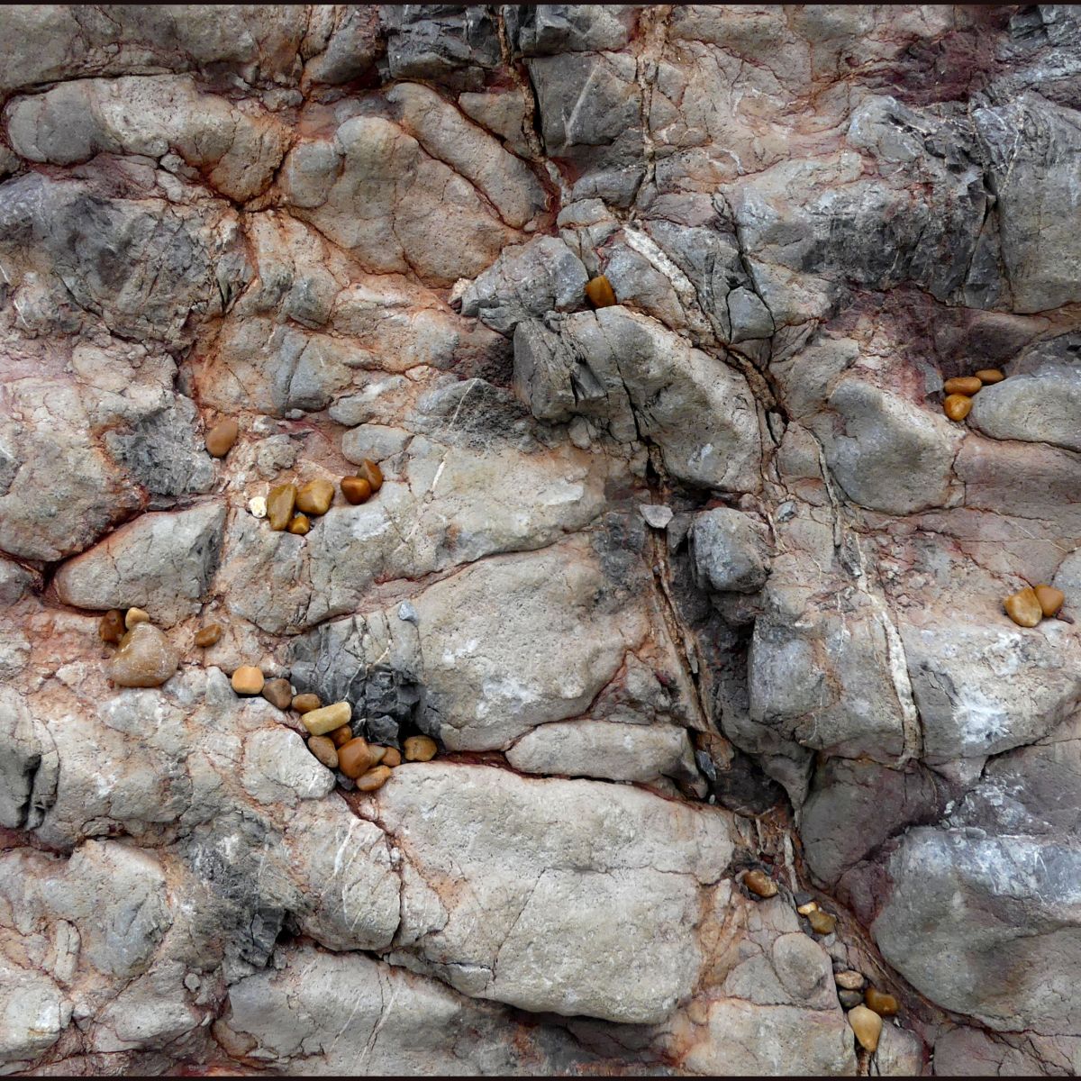 Natural Patterns – Jessica's Nature Blog