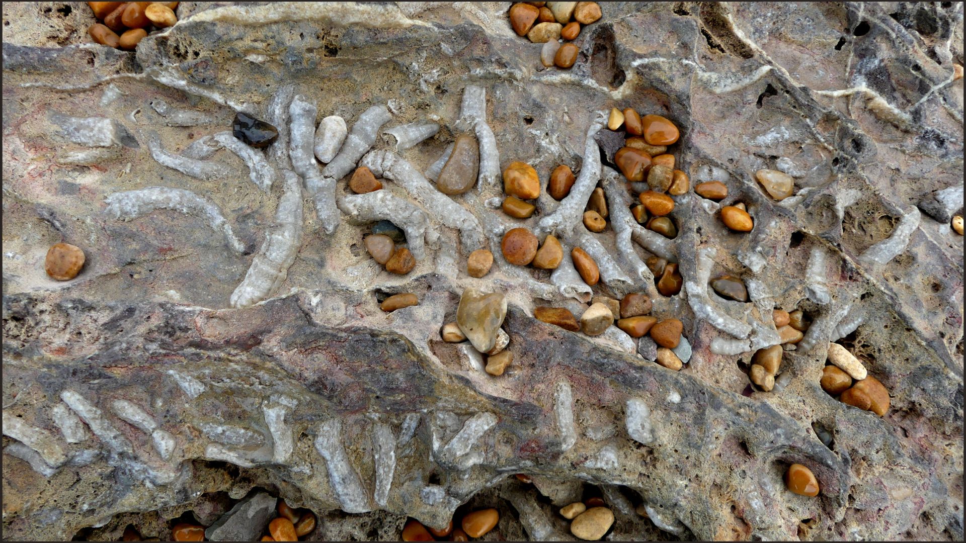 Rock Armour 2 – Jessica's Nature Blog