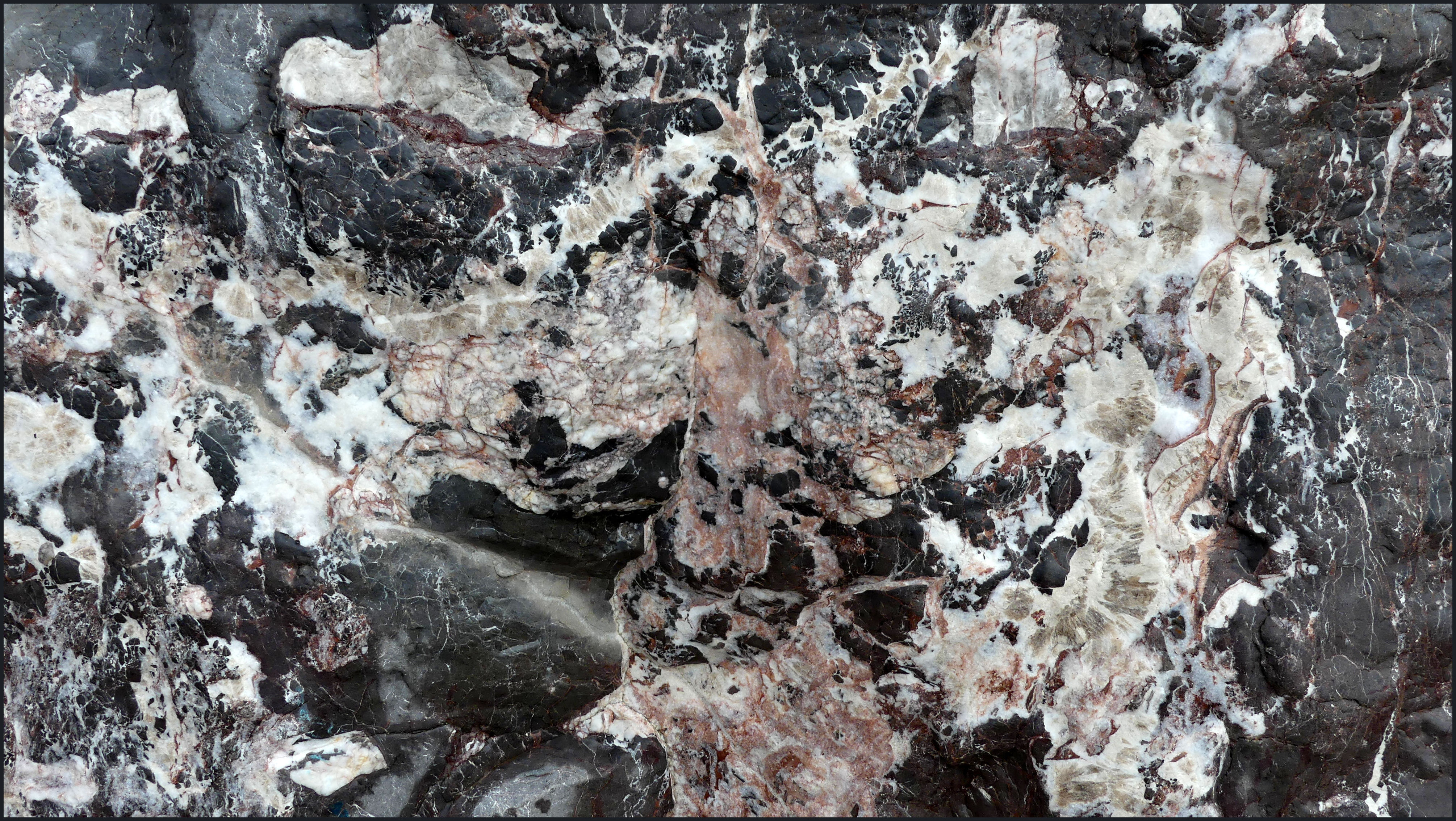Natural Patterns – Jessica's Nature Blog
