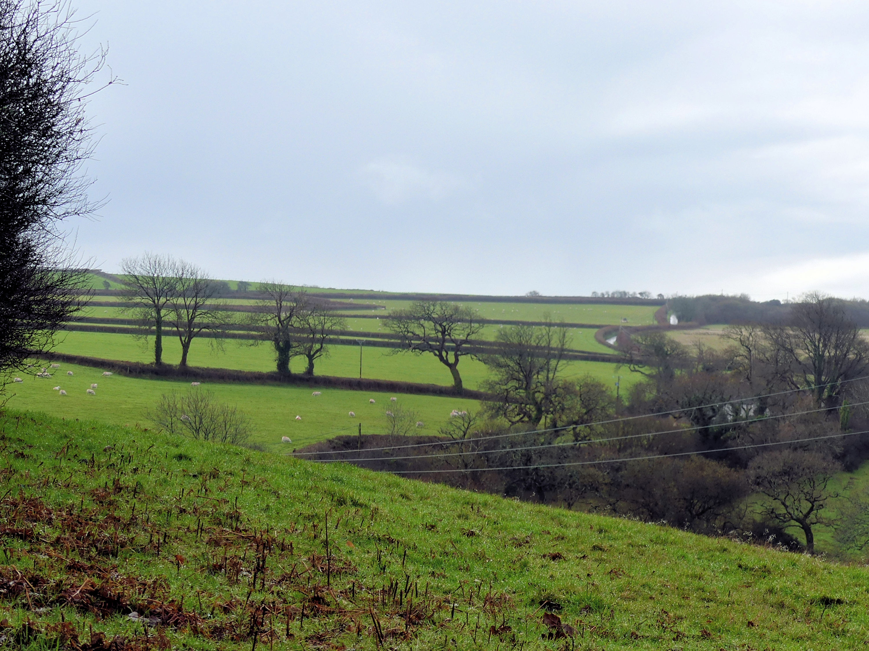 Penrice 2 – Jessica's Nature Blog