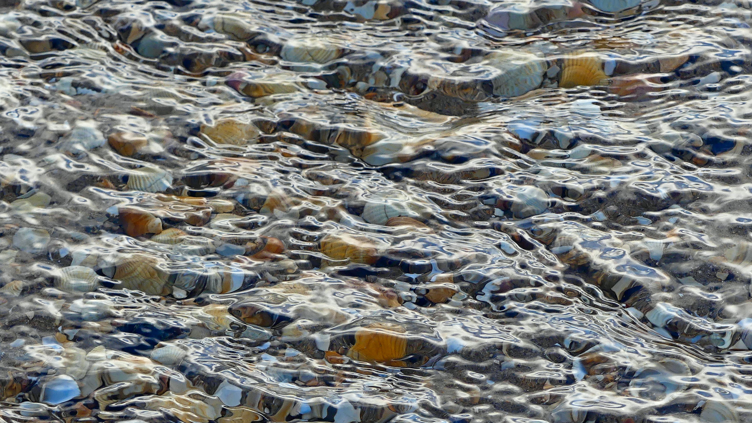 Water Patterns Video SB3 – Jessica's Nature Blog