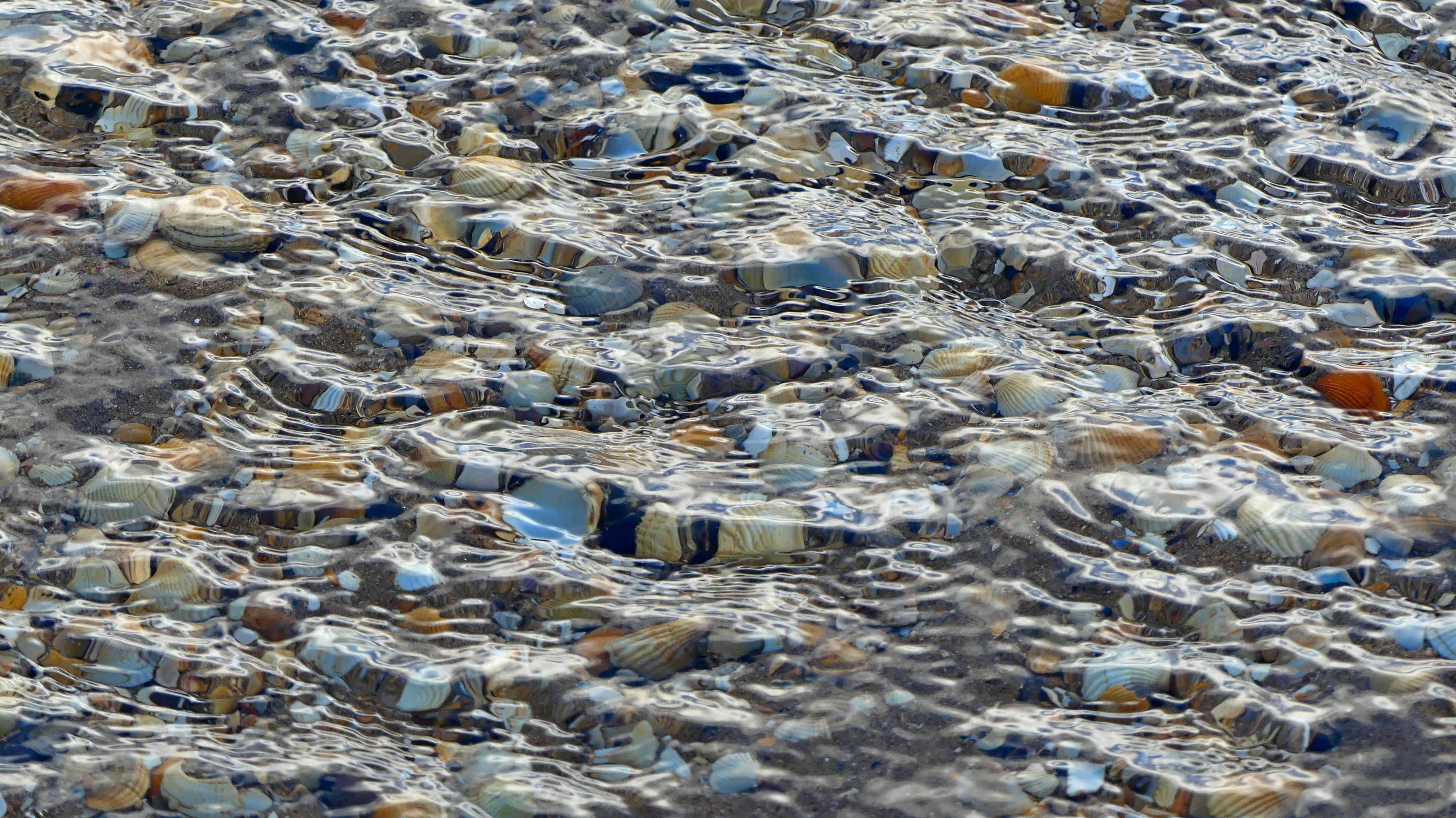 Water Patterns Video SB3 – Jessica's Nature Blog